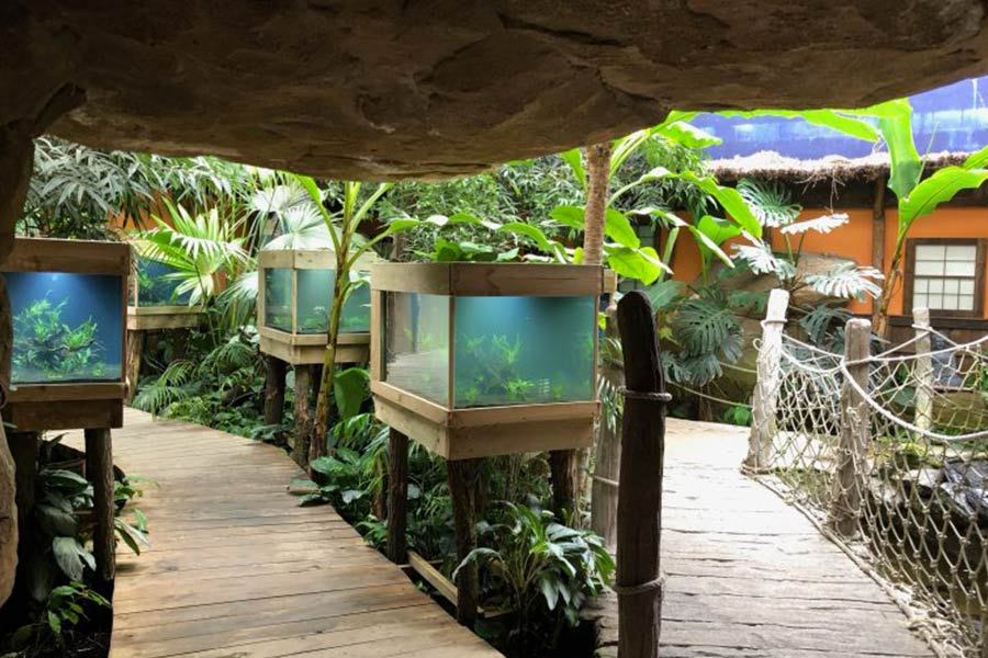 Aquarium d'Amnéville - kideaz