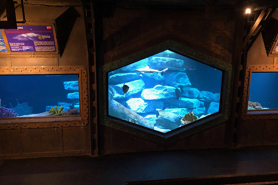 Aquarium d'Amnéville - kideaz