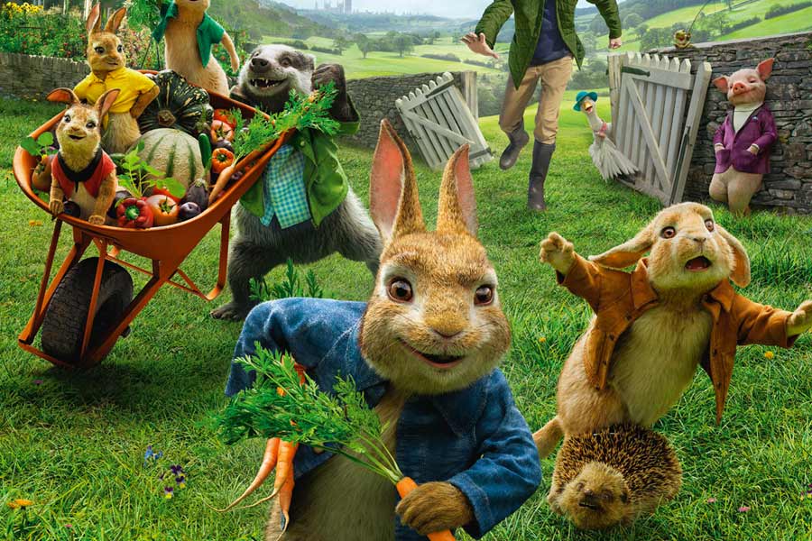 Pierre Lapin - kideaz